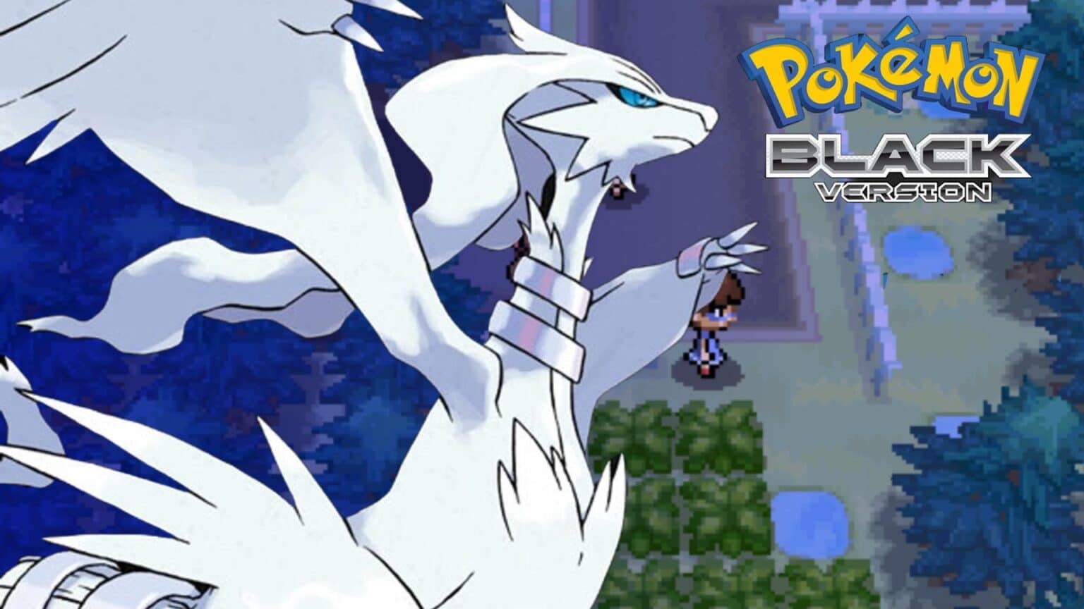 Pokémon Black cheats: Dinheiro, Pokédex, TM/HM e muito mais! - Clube do ...